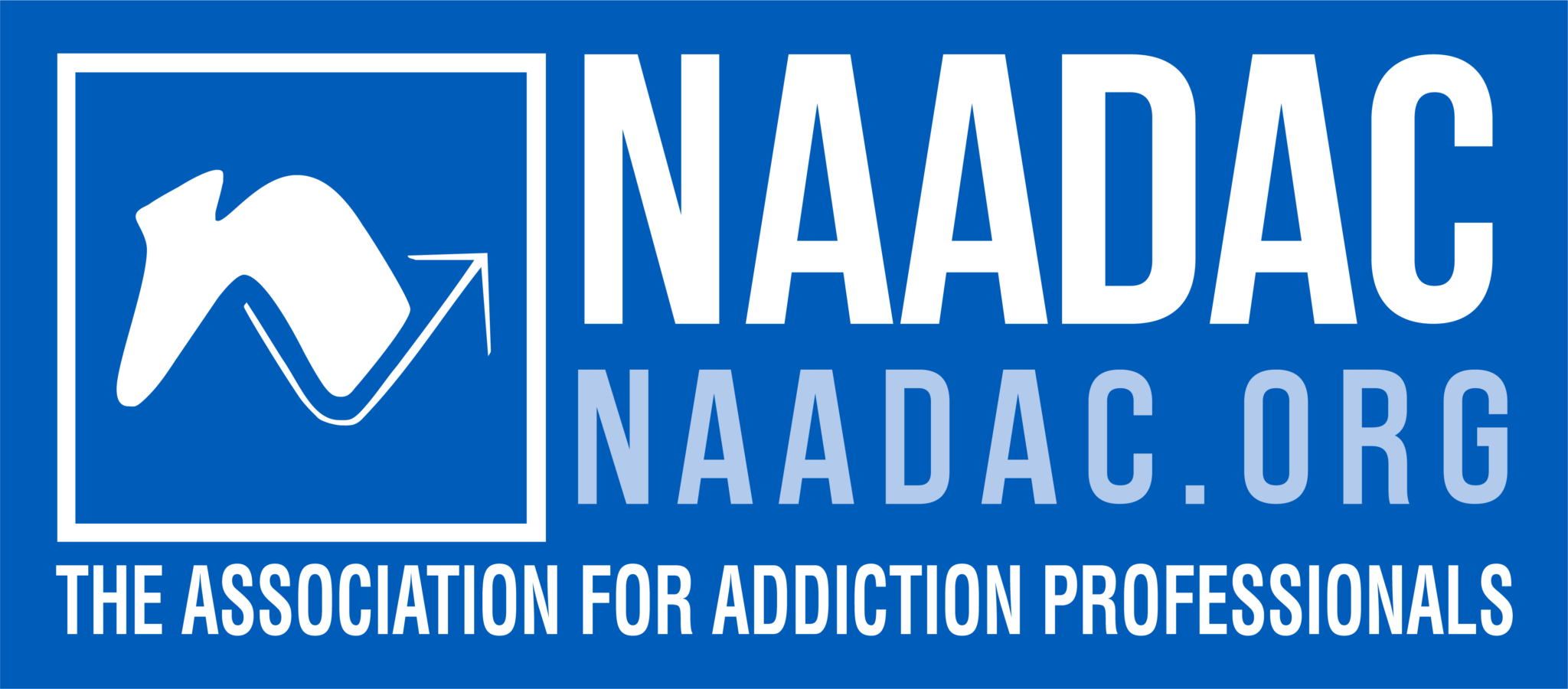 Waismann Method Opioid Detox: Top Rapid Detox Experts