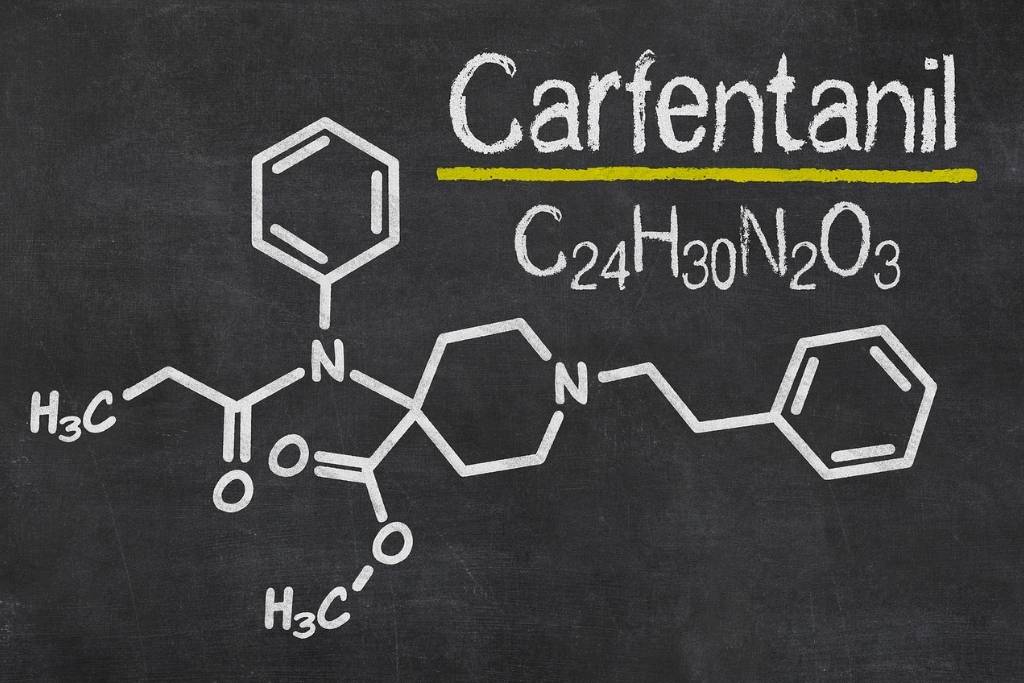Carfentanil Dangers: What You Need to Know & Safe Detox Options
